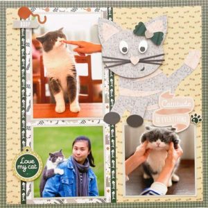 12 Pet Scrapbooking Layout Ideas – Scrap Booking